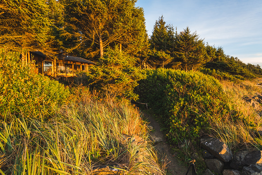 The House | Chesterman House